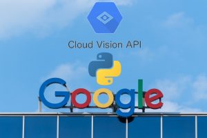 PythonでGoogle Cloud Vision APIを利用する方法 | ジコログ