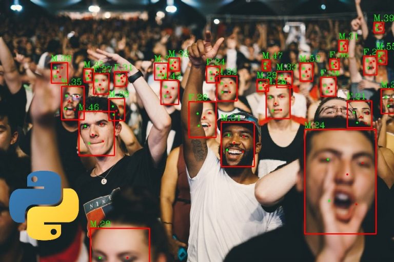 【Python】OpenCVを超えたInsightFaceによる顔認識 | ジコログ